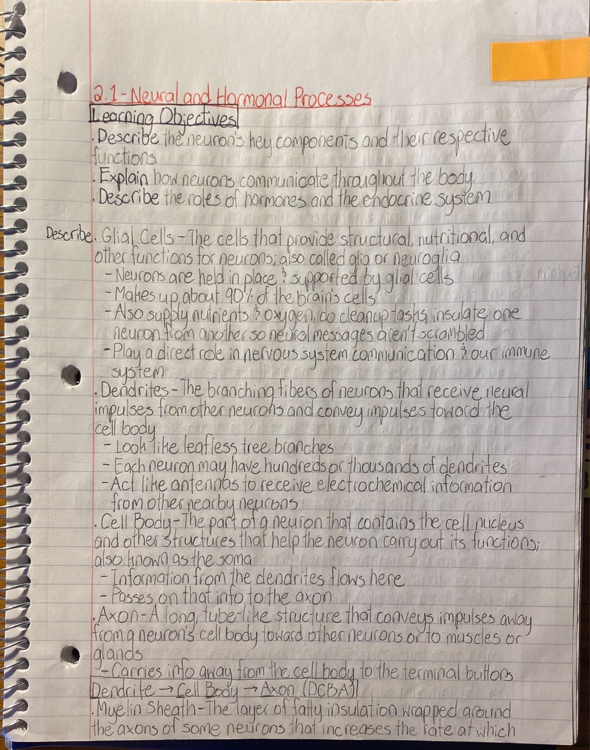Intro to Psych Ch 2 Notes - PSY 111 - Studocu