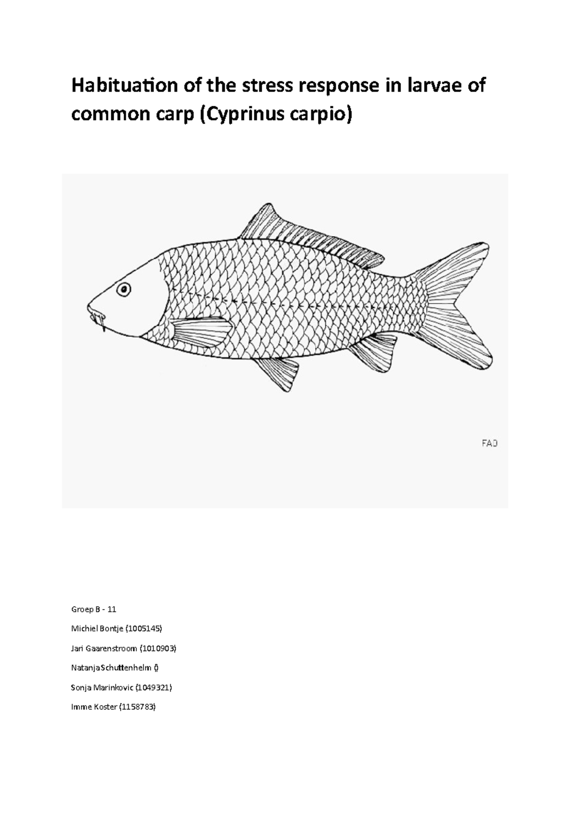 Larval experiment - larve practicum - Habituation of the stress ...