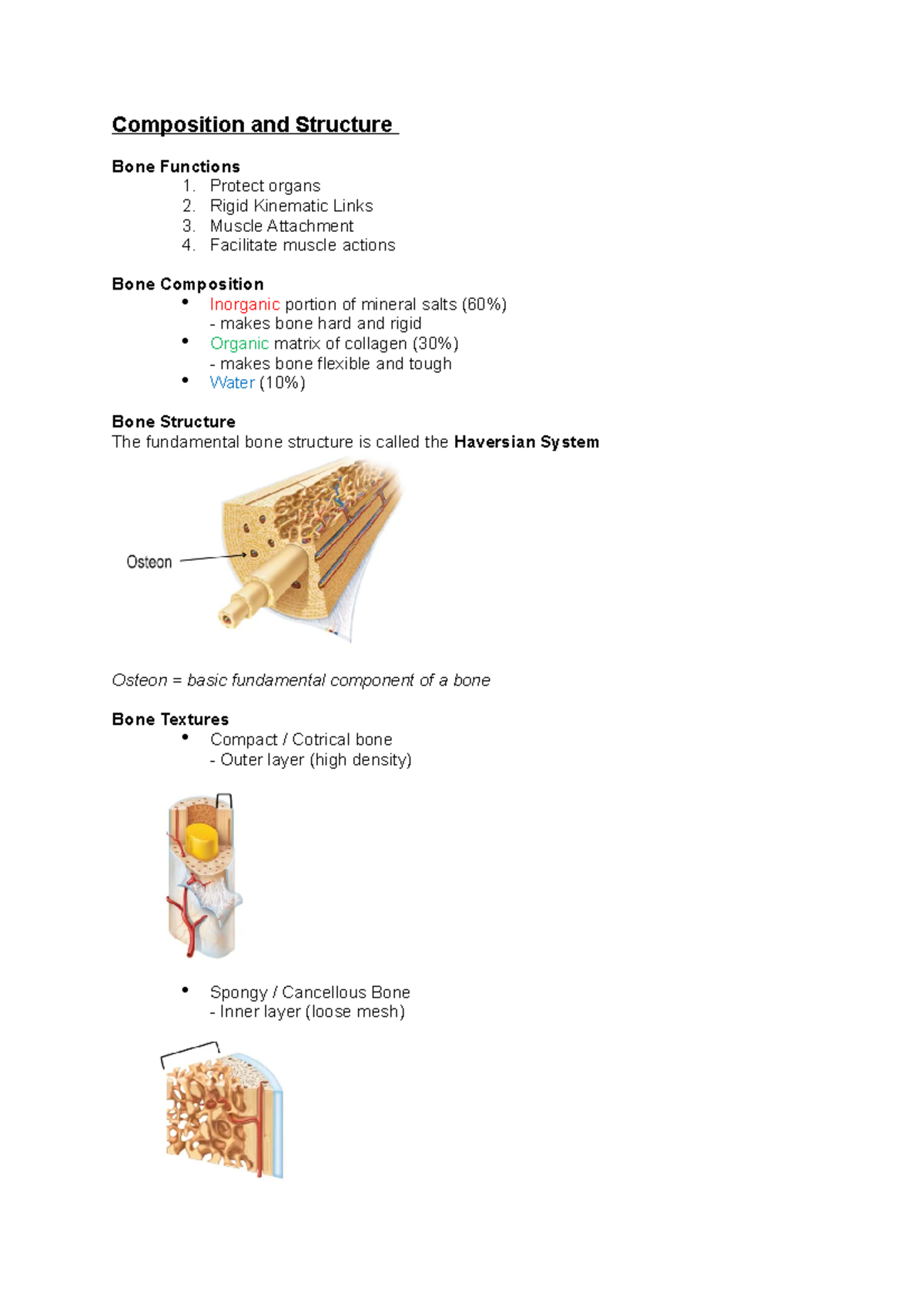 Composition of Bone - 092521 - Studocu