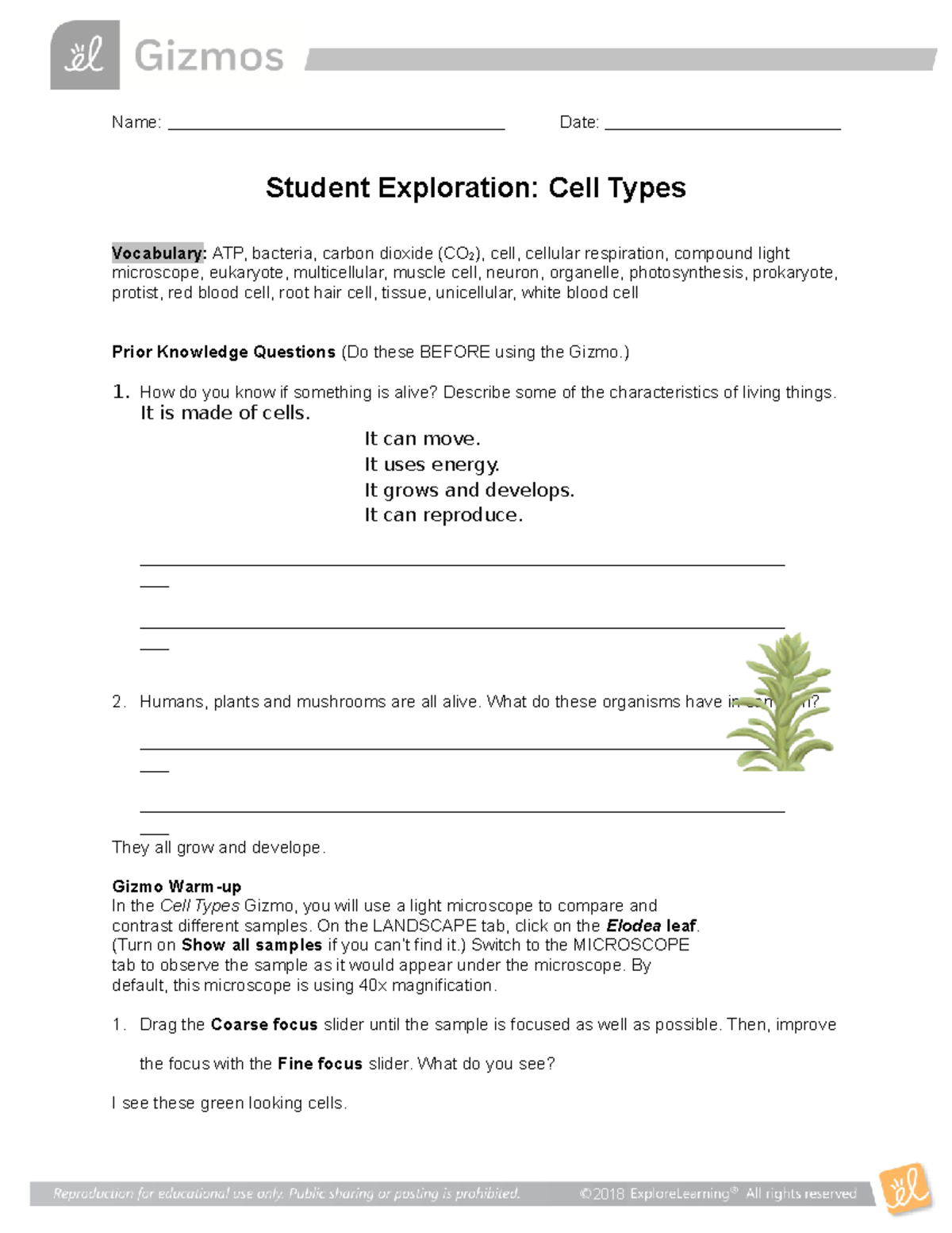 Cell Types Student exploration sheet - CJUS 4160 - UofM - Studocu