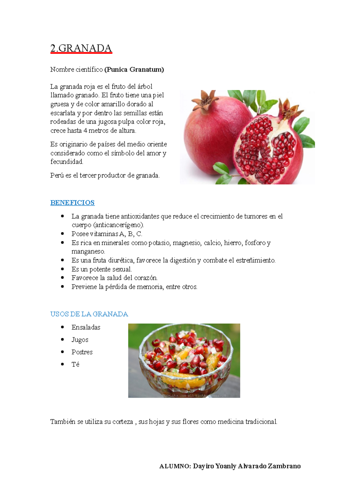 Granada - Informacion - 2 Nombre científico (Punica Granatum) La ...