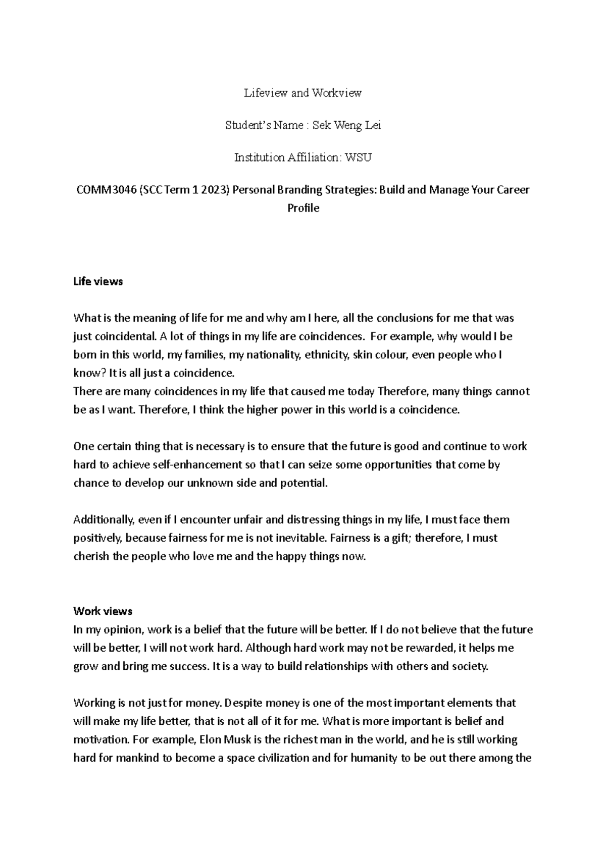 Lifeview and Workview Sek Weng Lei COMM3046 - Lifeview and Workview ...