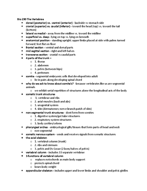 [Solved] Draw a flow chart or list out the branches and subbranches of ...