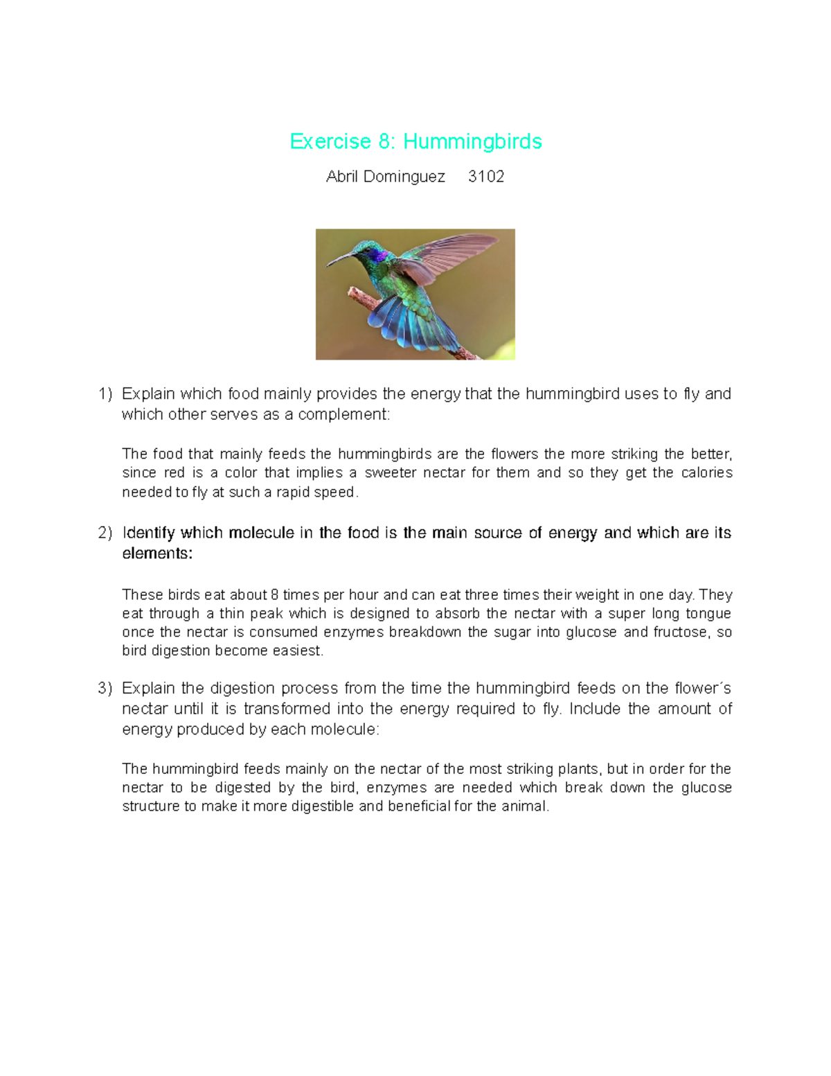 Hummingbird life life life life life life life life life life life life ...