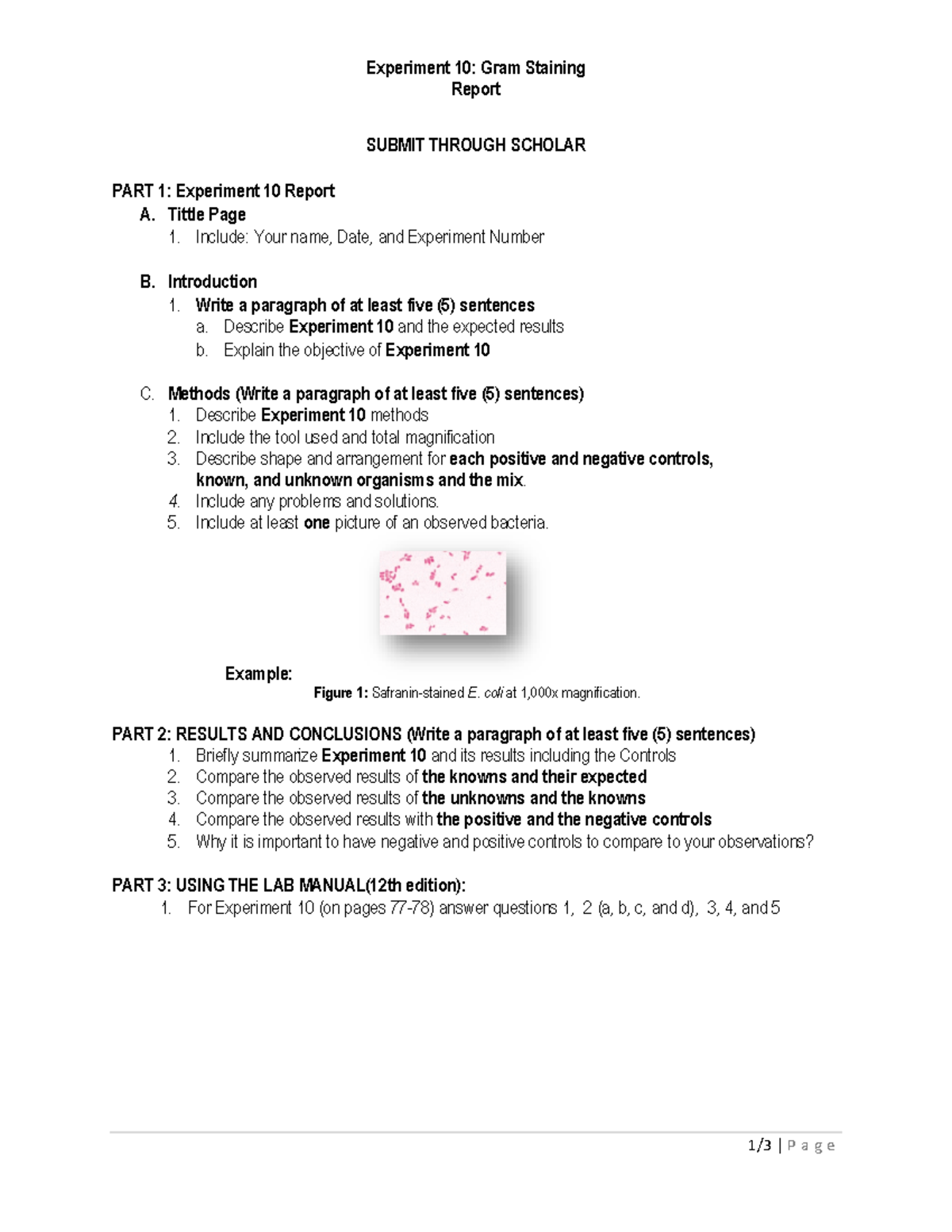 BIOL301L Experiment 10 Report - Experiment 10: Gram Staining Report 1/3 | P a g e SUBMIT THROUGH ...