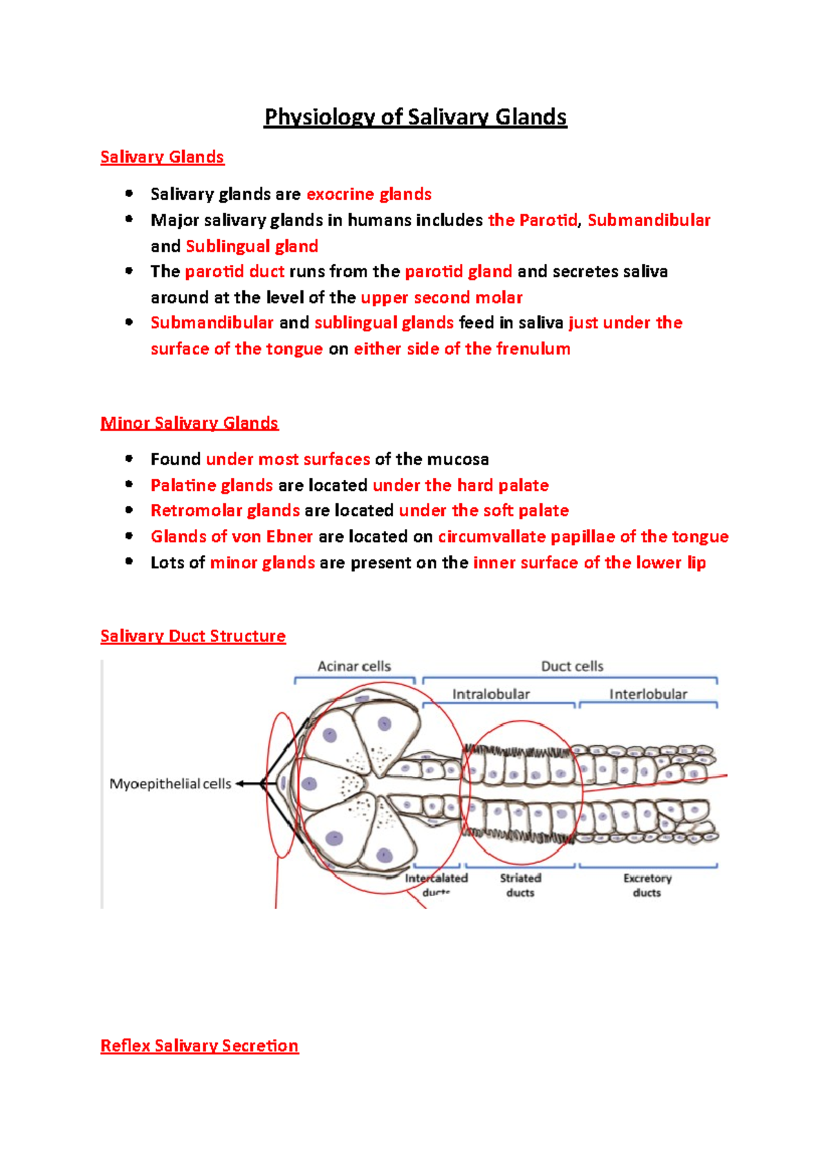 Physiology of Salivary Glands - Physiology of Salivary Glands Salivary ...