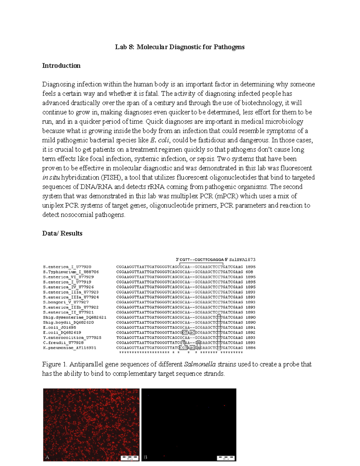 Lab 8 Molecular Diagnostic for Pathogens - Lab 8: Molecular Diagnostic ...