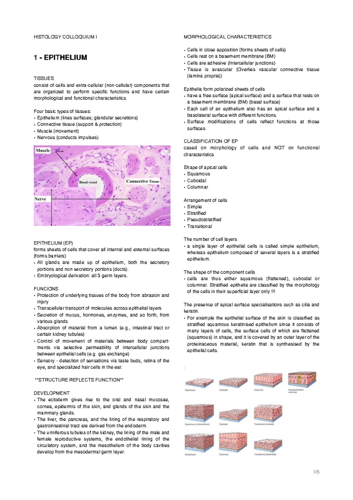 Histology - Cells in detail - HISTOLOGY COLLOQUIUM I! ! ! 1 ...