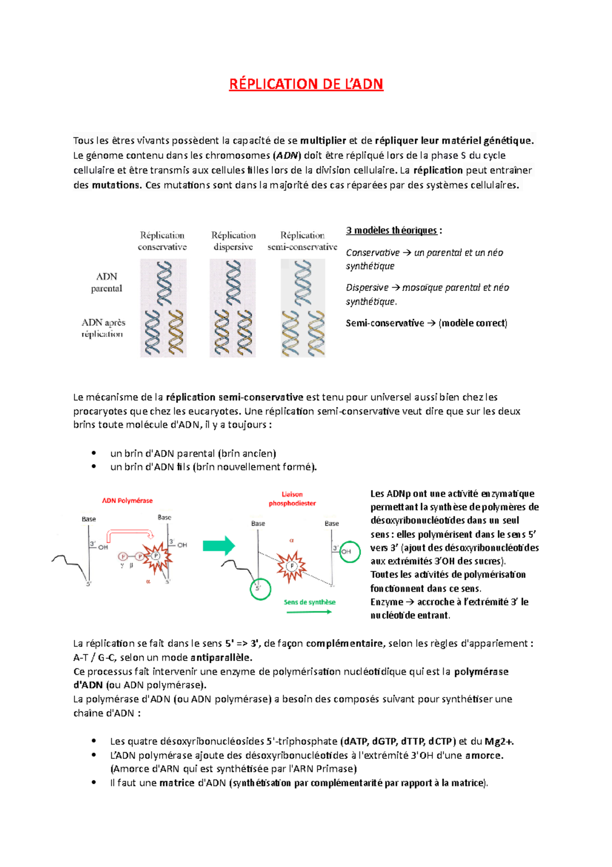 Réplication - L1S1 - R É PLICATION DE L’ADN Tous les êtres vivants possèdent la capacité de se ...