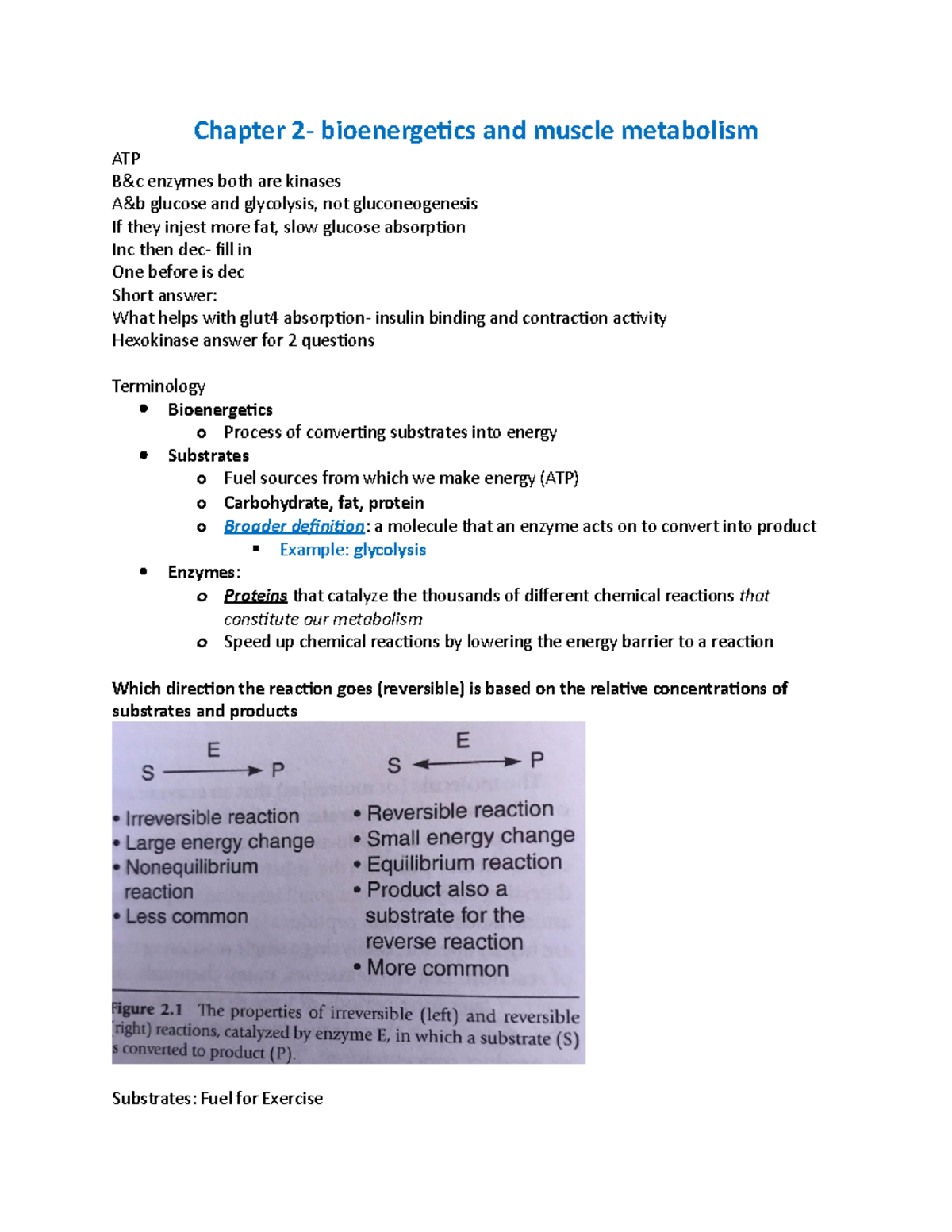 KNES unit 2 notes - Chapter 2- bioenergetics and muscle metabolism ATP ...
