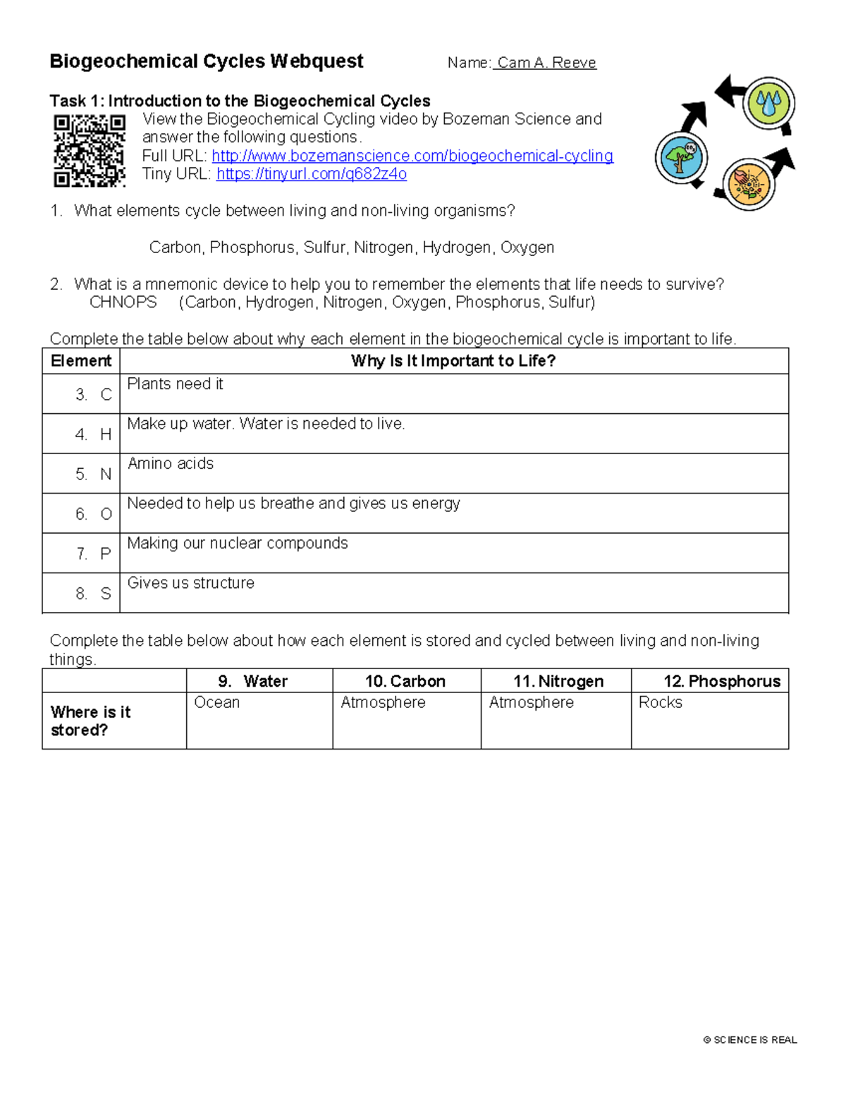 Handout Biogeochemical Cycles Webquest - Biogeochemical Cycles Webquest ...