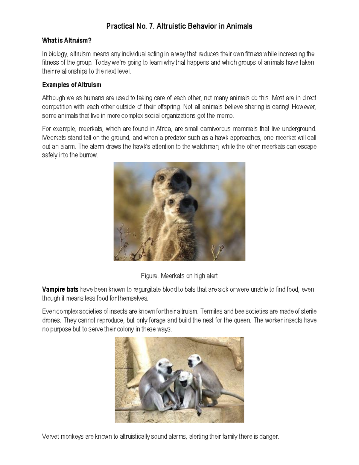 Practical No. 7 Altruistic Behavior in Animals - Practical No. 7 ...