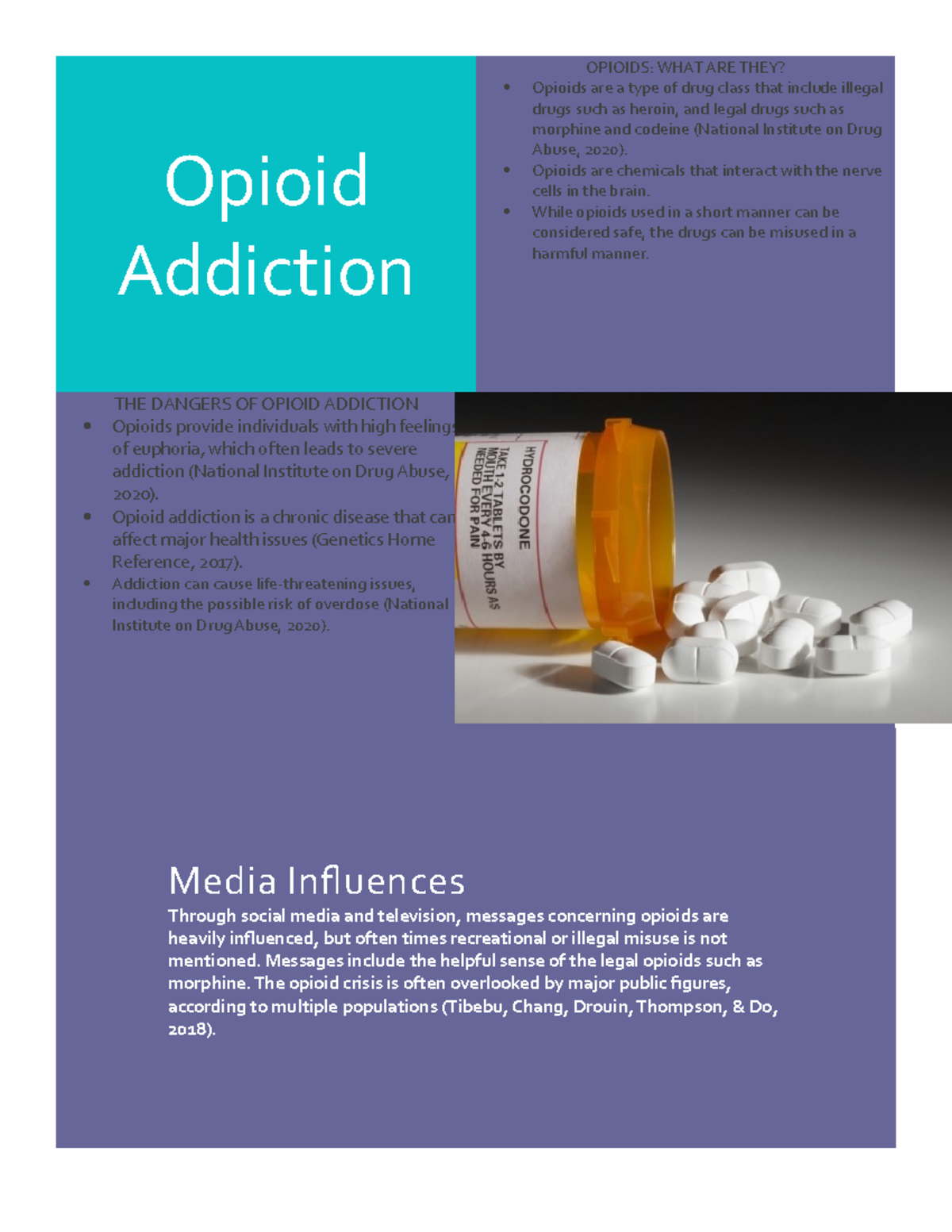Opioids Brochure - Opioid Addiction OPIOIDS: WHAT ARE THEY? Opioids are ...