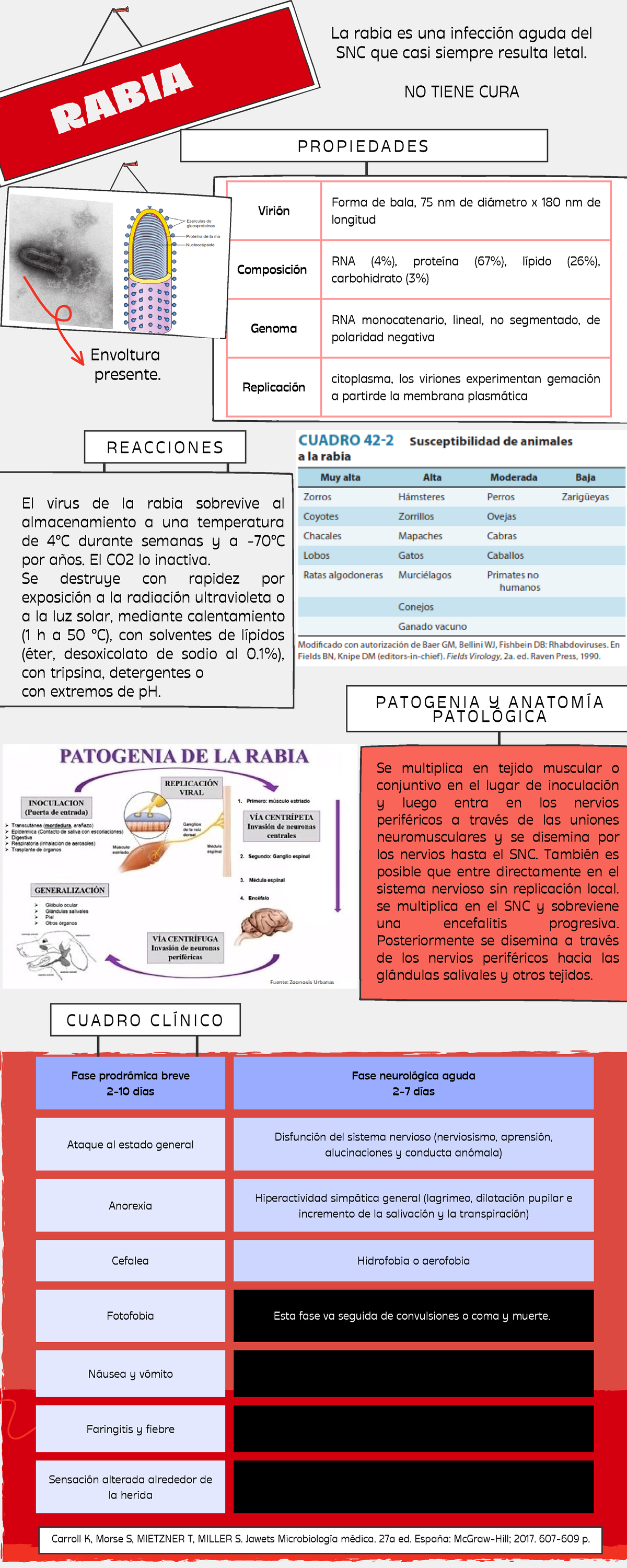 Rabia - Propiedades, patogenia y manifestaciones clínicas - P R O P I E ...