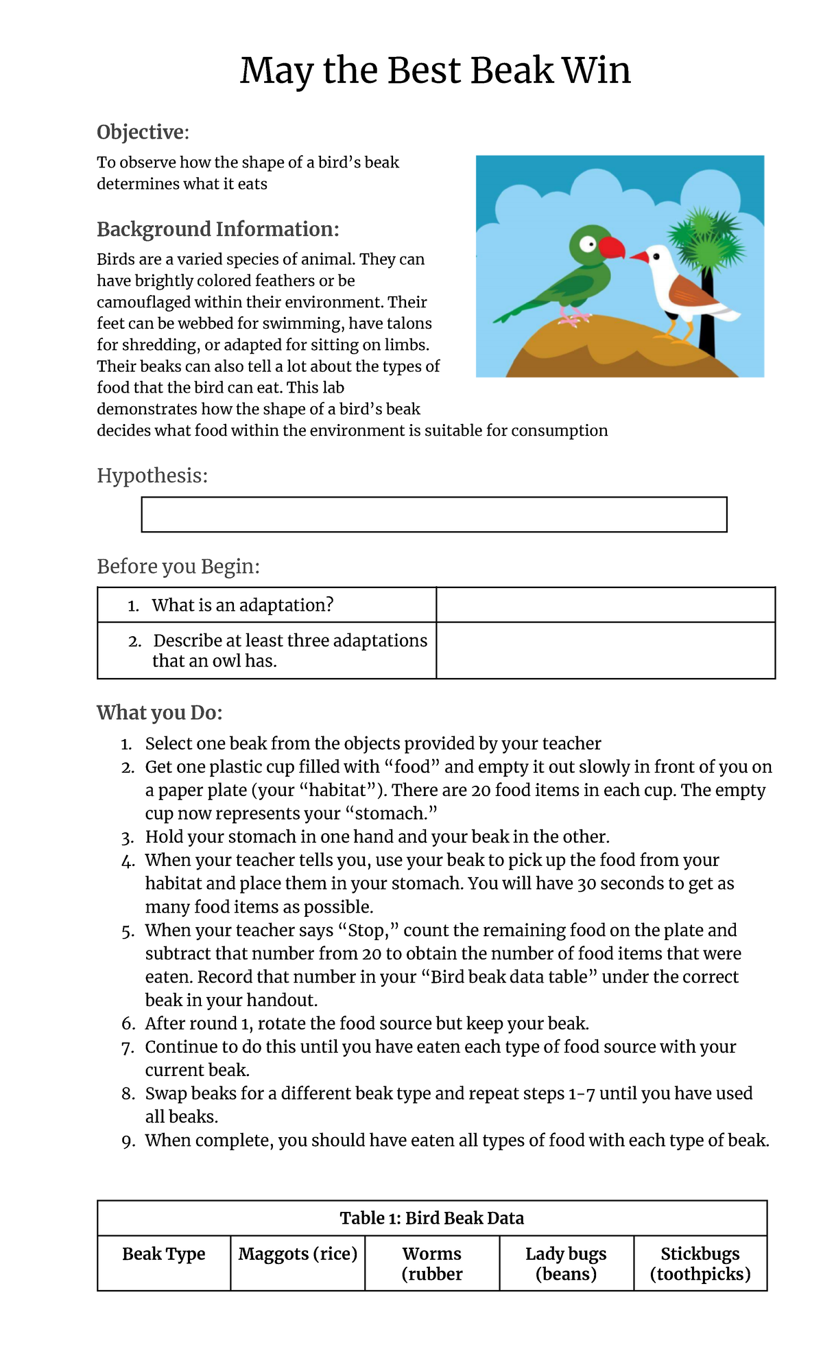 Copy of Evolution May the Best Beak Win - May the Best Beak Win ...