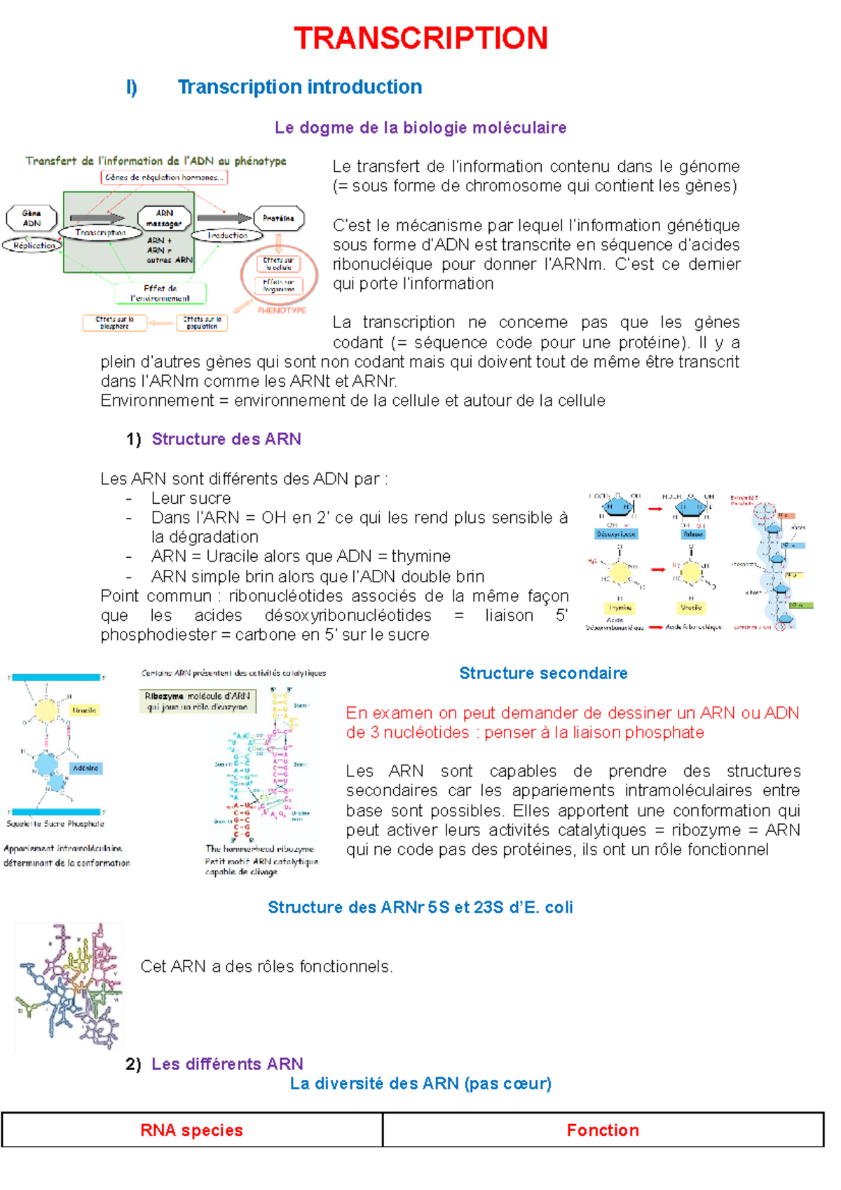 Chantal diaz L3 cours word - TRANSCRIPTION I) Transcription introduction Le dogme de la biologie ...