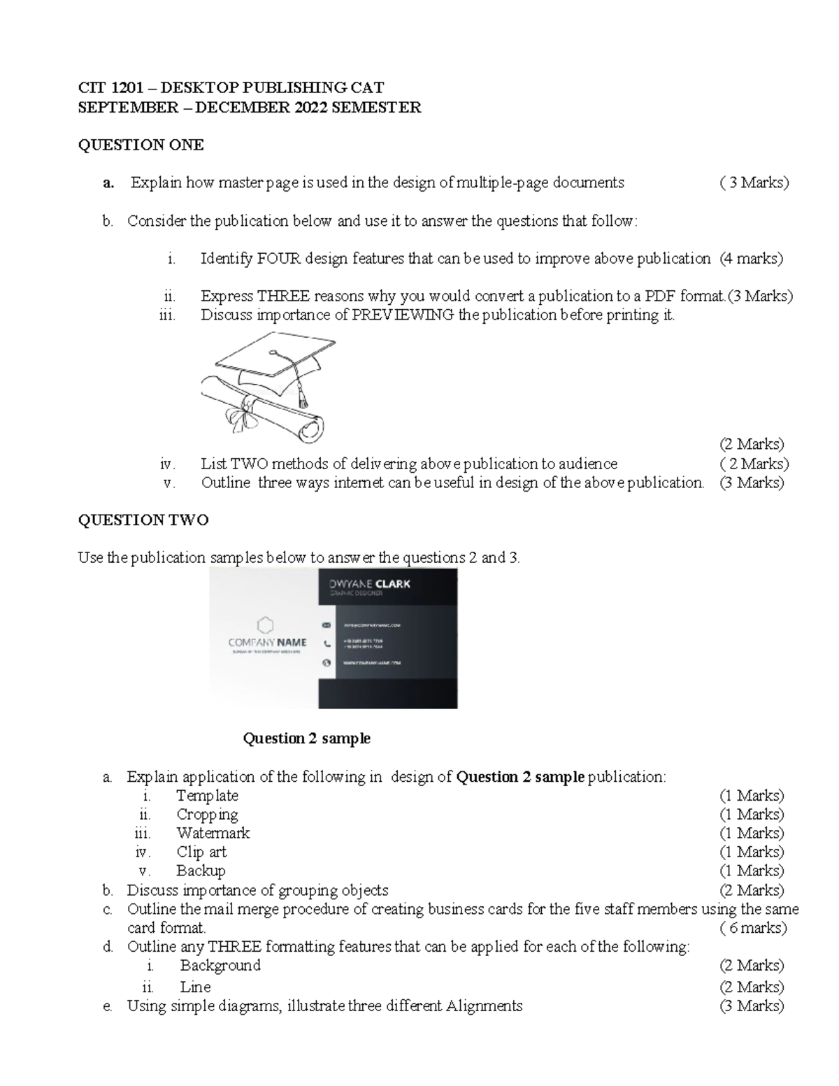 CIT 1201 CAT July 24 sem - Its a cat we did recently - CIT 1201 – DESKTOP PUBLISHING CAT ...