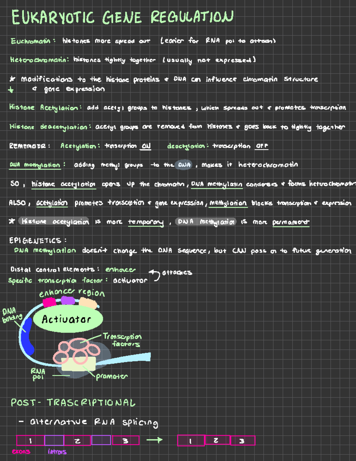 BIO Video Notes - Basic/Background knowledge of gene expression and ...