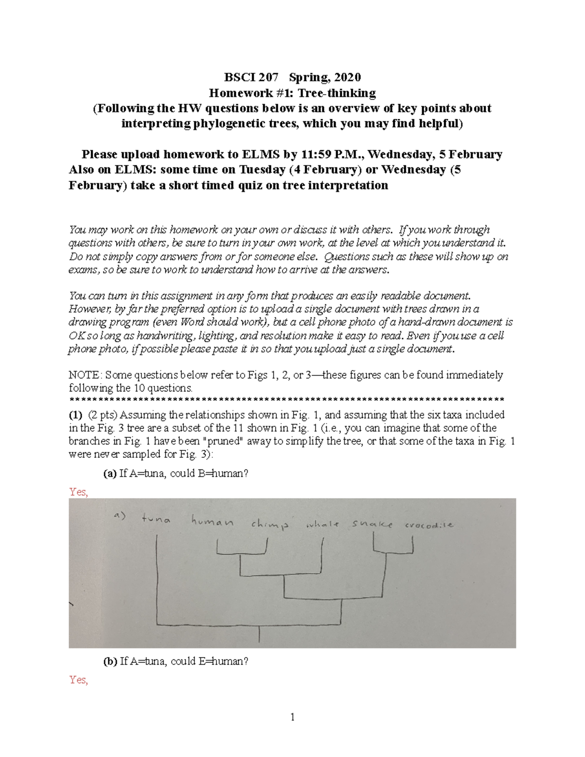 HW1 BSCI 207 S20 - hw 1 - BSCI 207 Spring, 2020 Homework #1: Tree-thinking (Following the HW ...