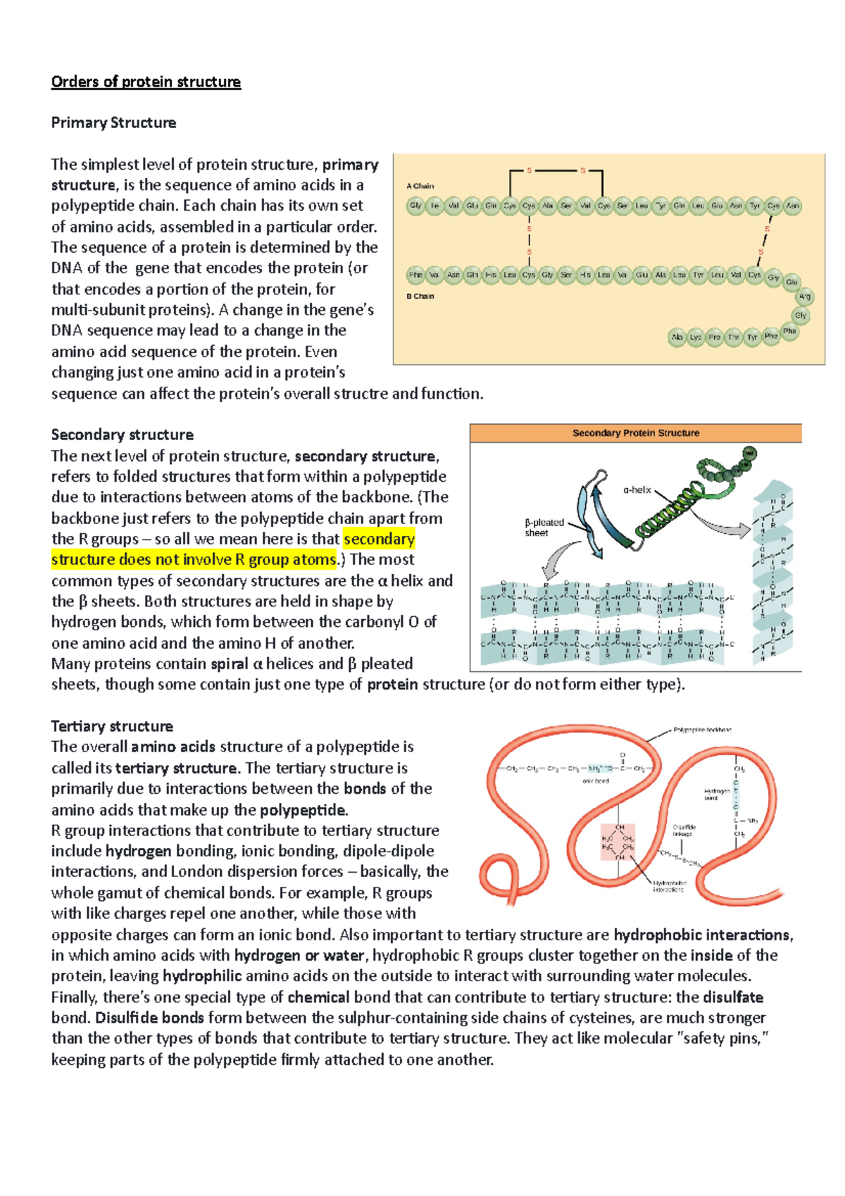 NCEA Level 2 Bio 3D protein structure - Evolutionary Biology ...