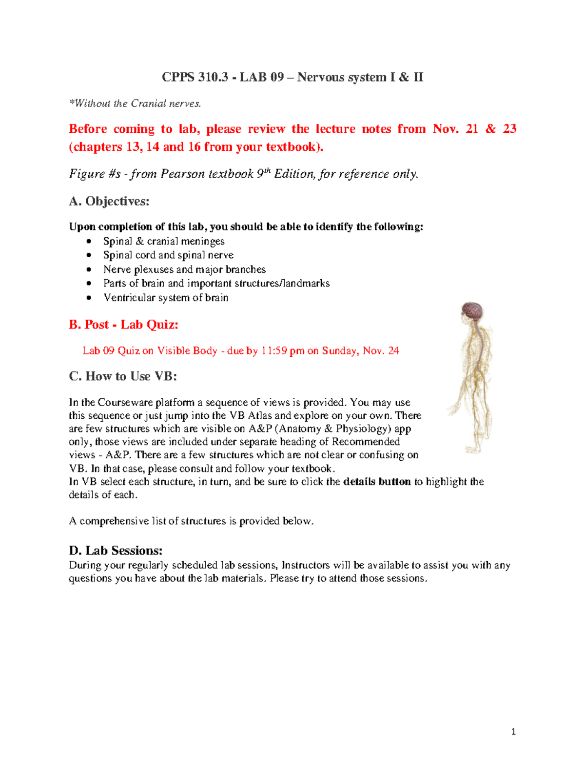 LAB09 2023 - VB - bap - CPPS 310 - LAB 09 – Nervous system I & II *Without the Cranial nerves ...