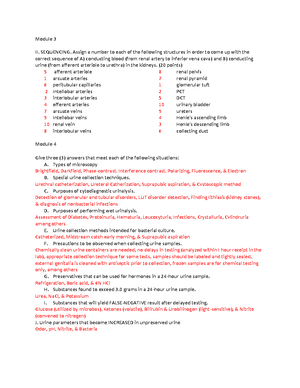 SAS 1 - Student Activity Sheet Module Name: - Studocu
