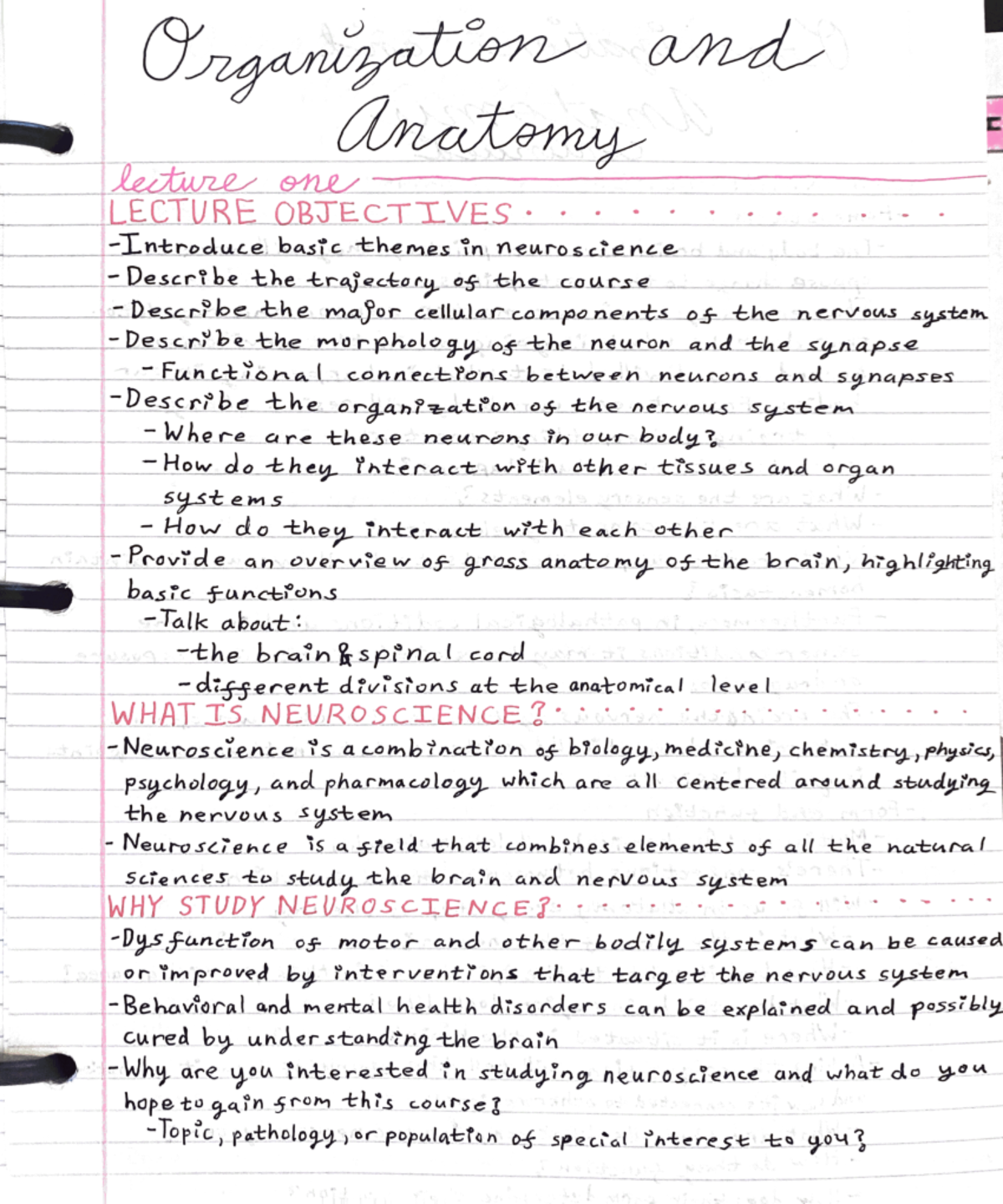 Scannable Document - Ethan Block - Organization and anatomy lecture one ...