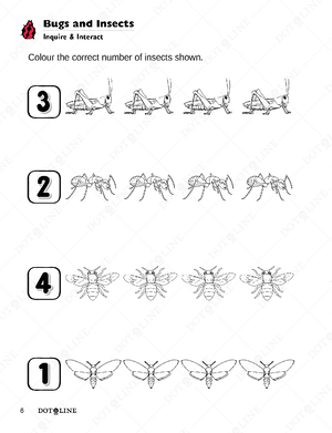 158565349901 EJ1 - Bugs Insects Tracing Patterns - intro. to ...