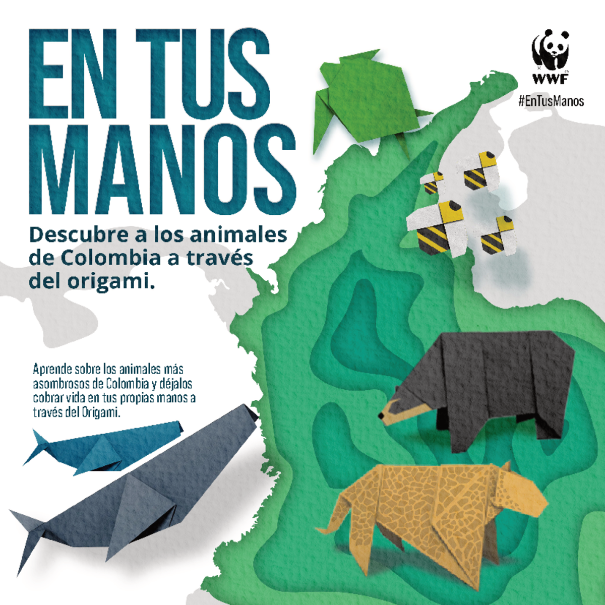 WWF- Guia Animales Origami - Aprende sobre los animales más asombrosos ...