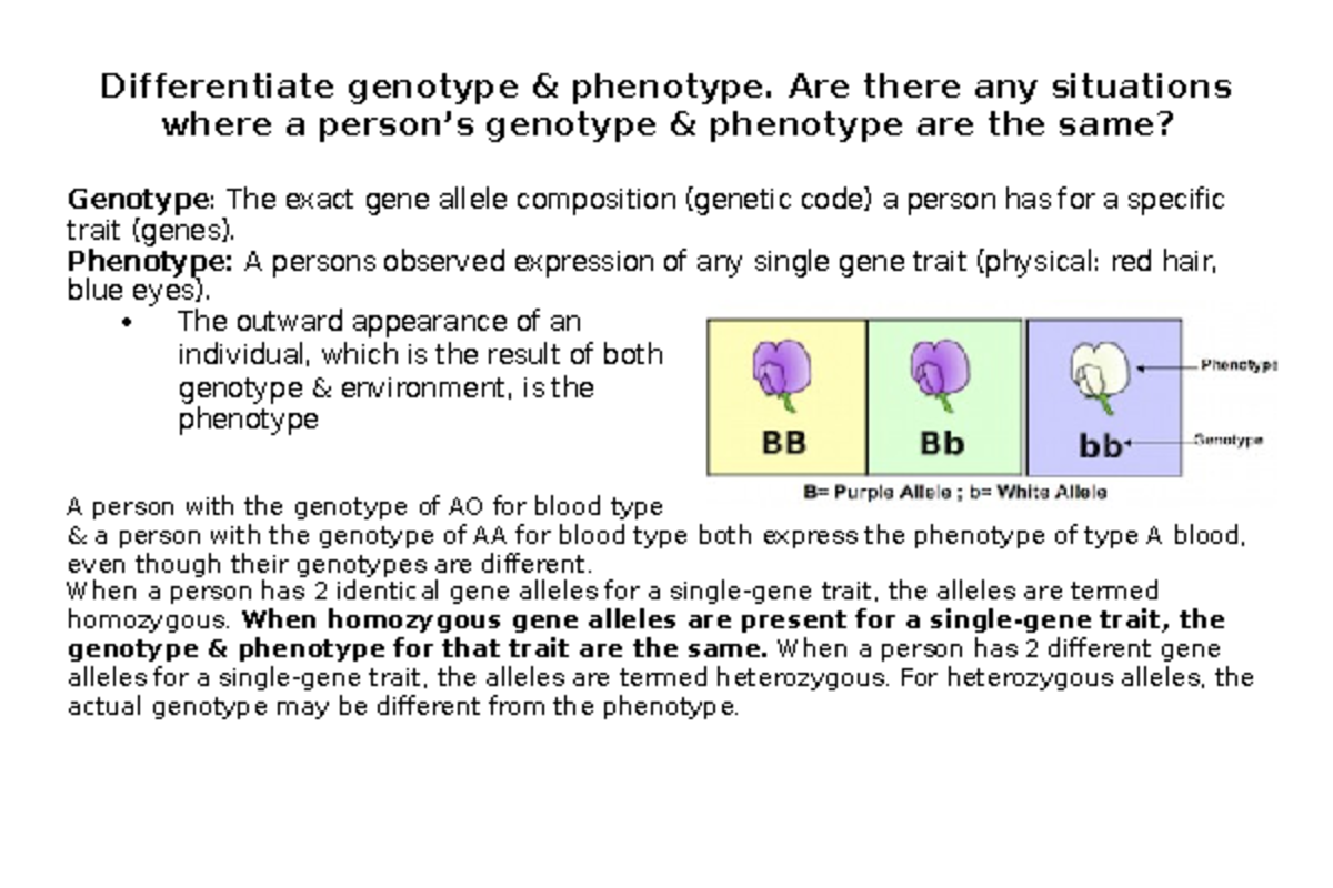 Mod 1 Flash Cards - Module One: Genetics - Differentiate genotype ...