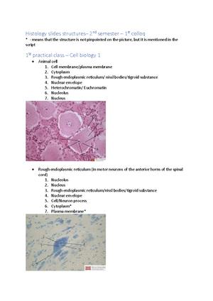 Histology - Colloquium I - Histology Colloquium I Question 3 Colloquium ...