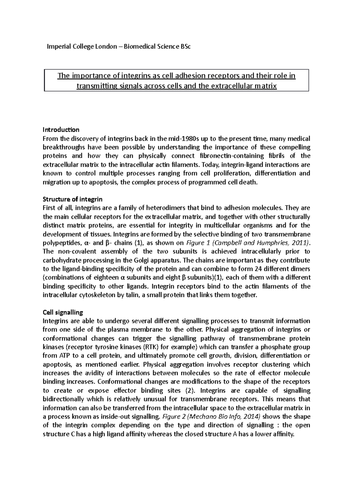 BCT ICA Essay - The importance of integrins as cell adhesion receptors ...