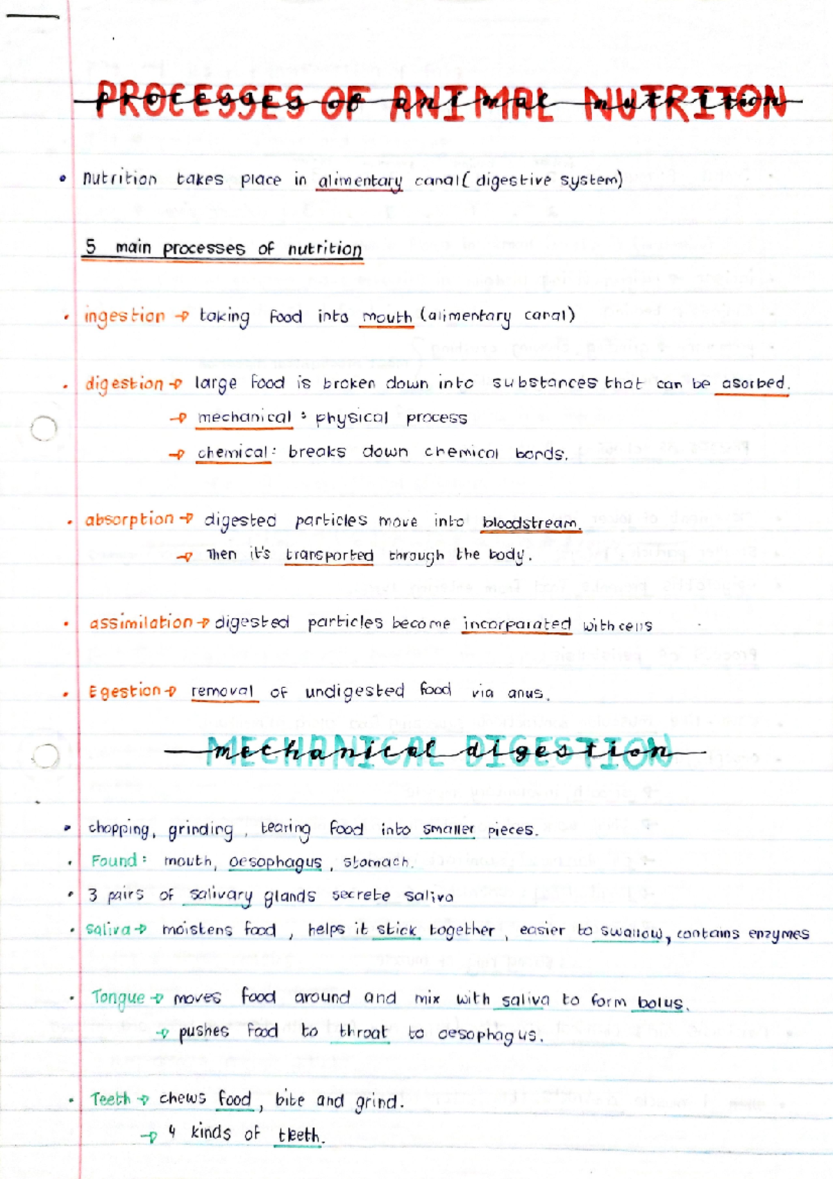 Processes of Animal Nutrition - Studocu