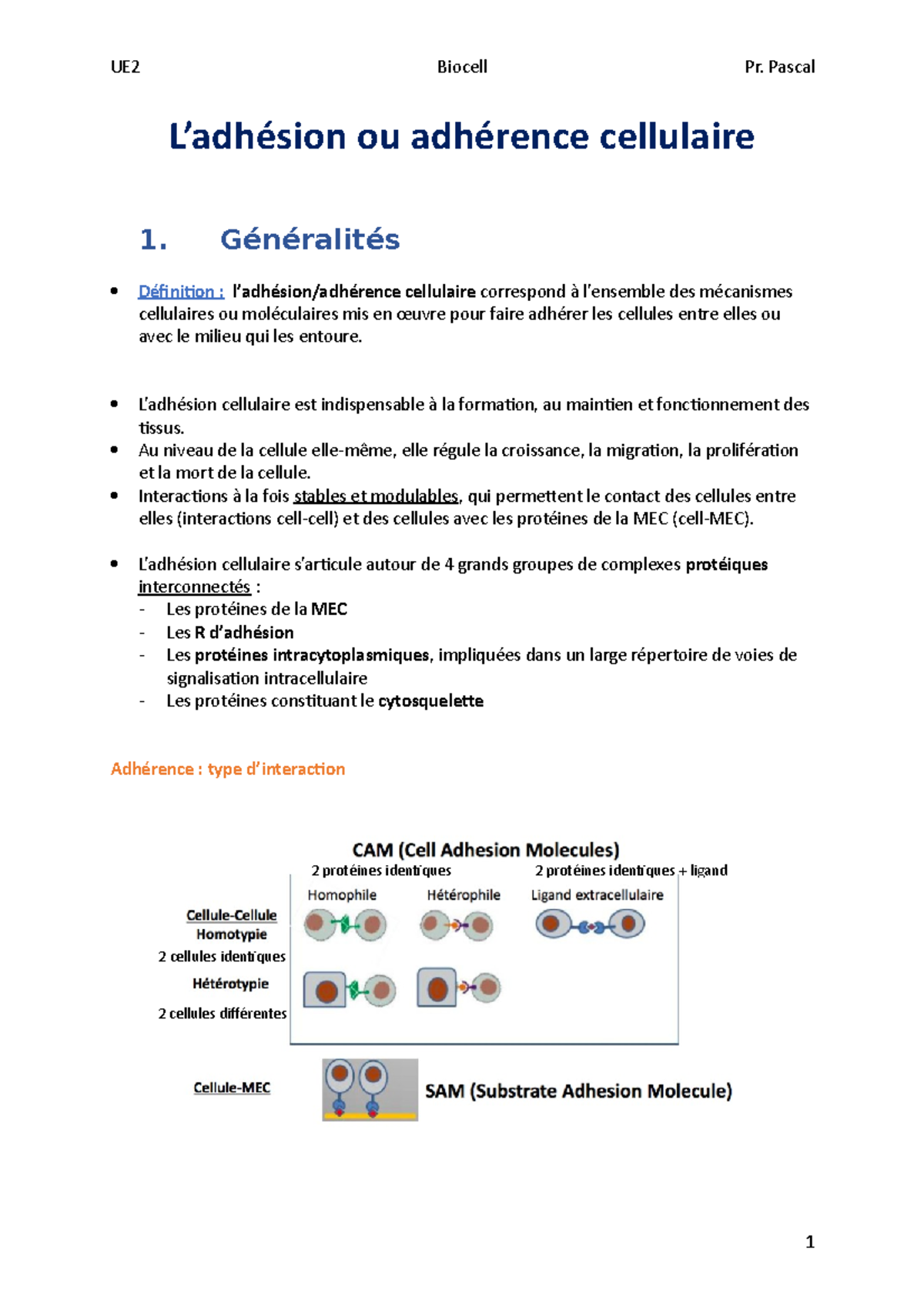 10- L'adhésion-cellulaire - L’adhésion ou adhérence cellulaire 1 ...