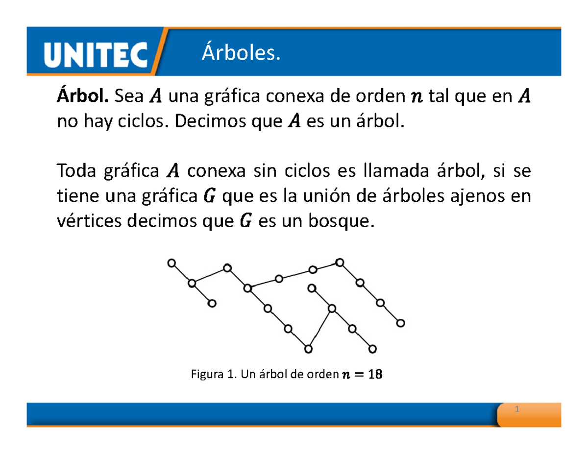 Los árboles, árboles generadores, árboles enraizados y sus algoritmos ...