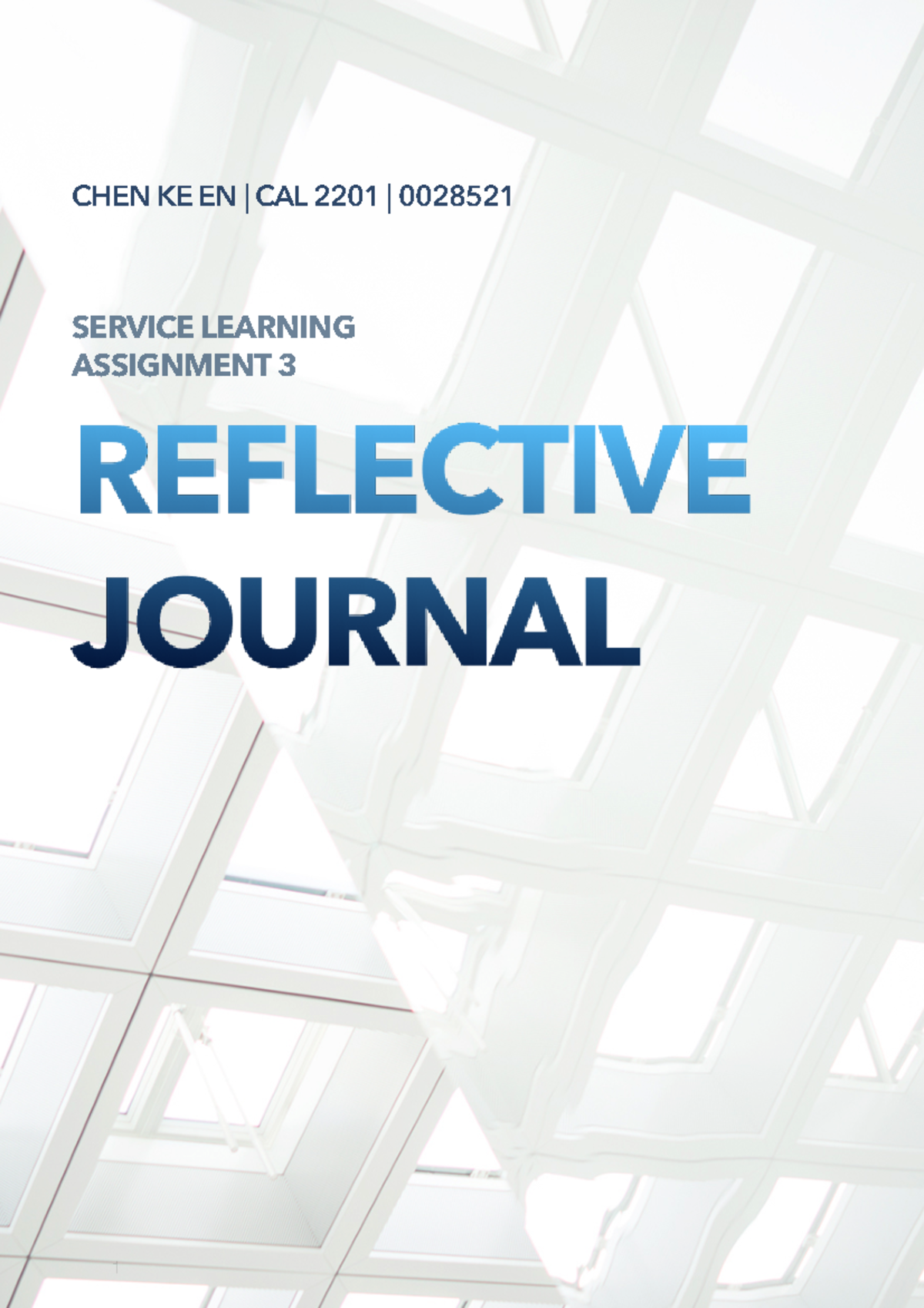 Reflective journal - service learning project - 1 ####### CHEN KE EN ...