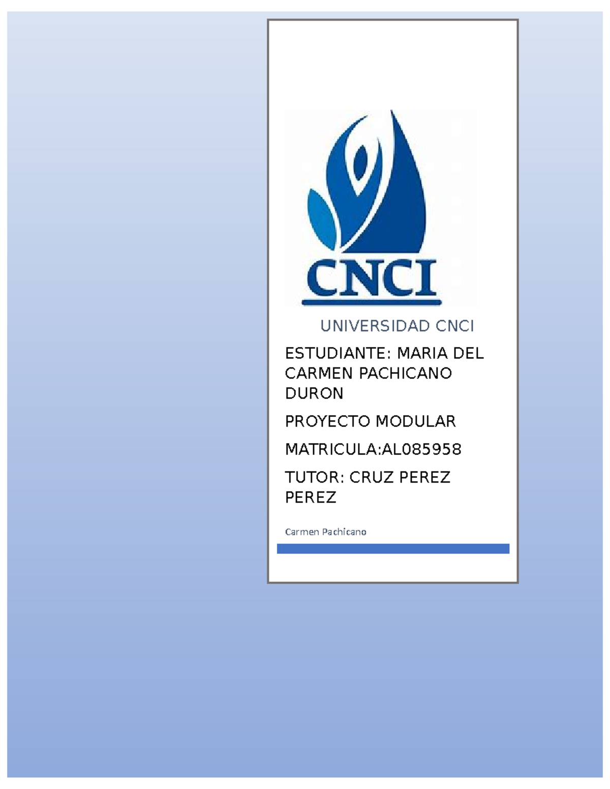 Proyecto Modular - apuntes - Carmen Pachicano UNIVERSIDAD CNCI ...