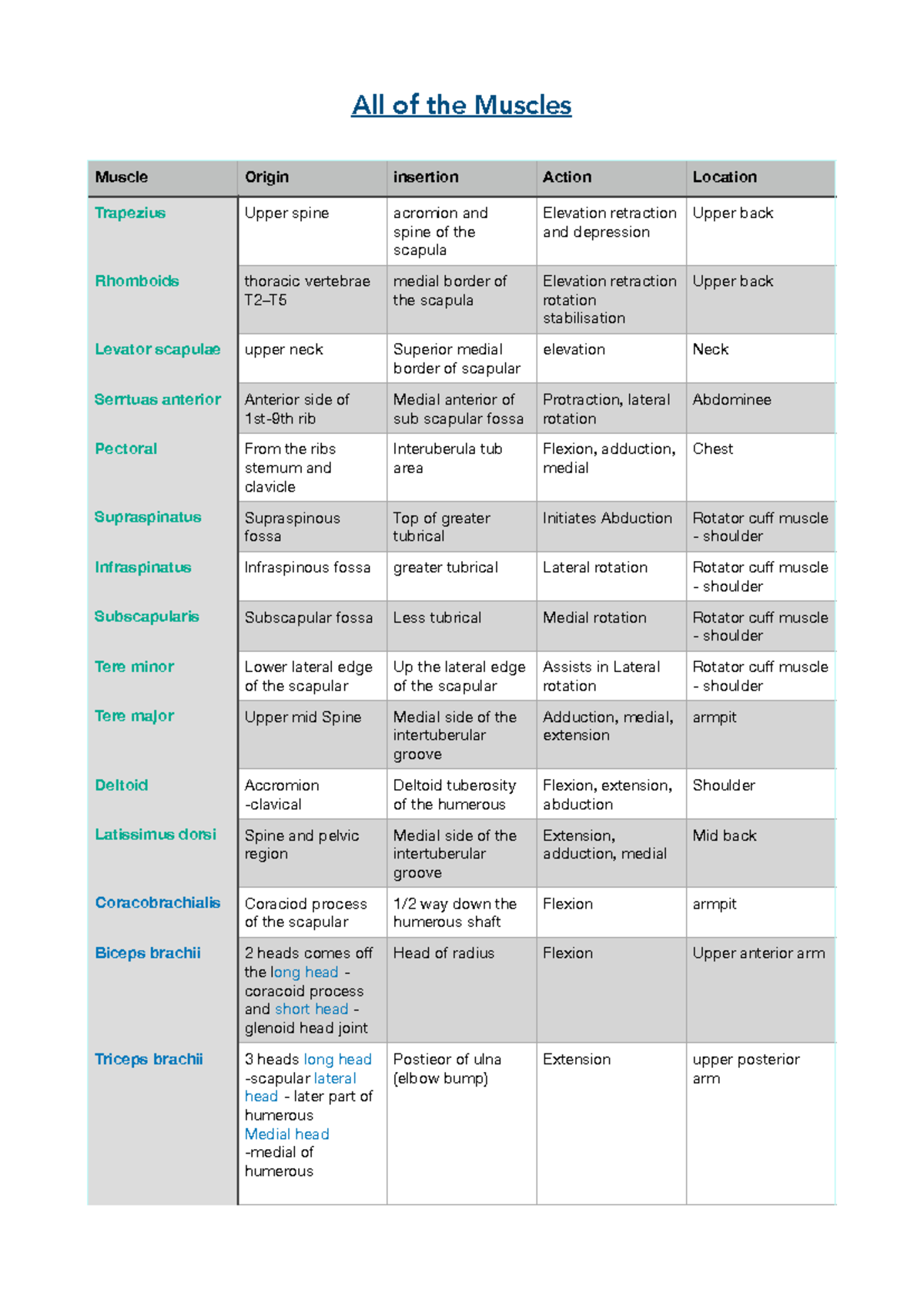 Muslces summary pdf - All of the Muscles Muscle Origin insertion Action Location Trapezius Upper ...