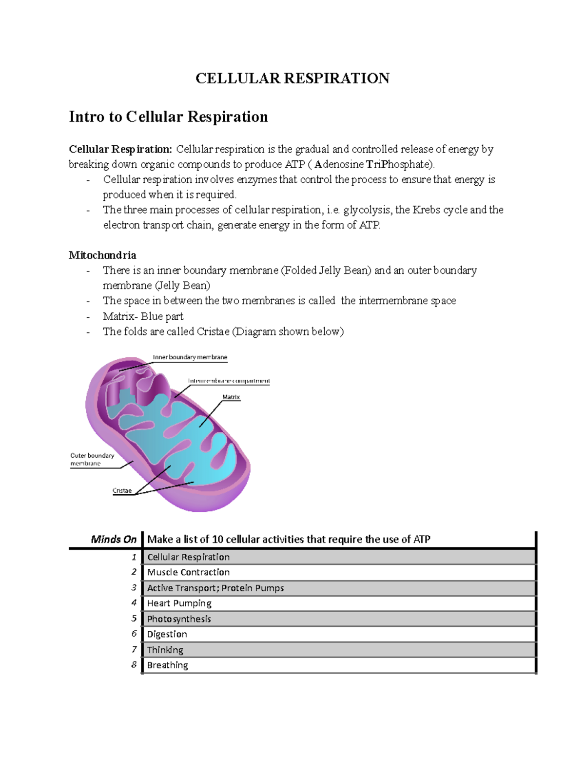 Cellular Respiration - Notes - CELLULAR RESPIRATION Intro to Cellular ...