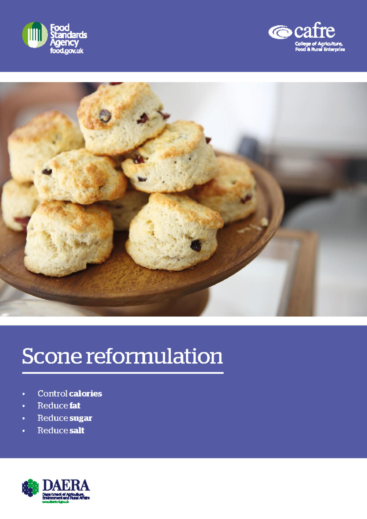Scone-reformulation technical guidance - Scone reformulation Control ...