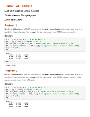 Project One Template Jacen Arruda - Project One Template MAT350 ...