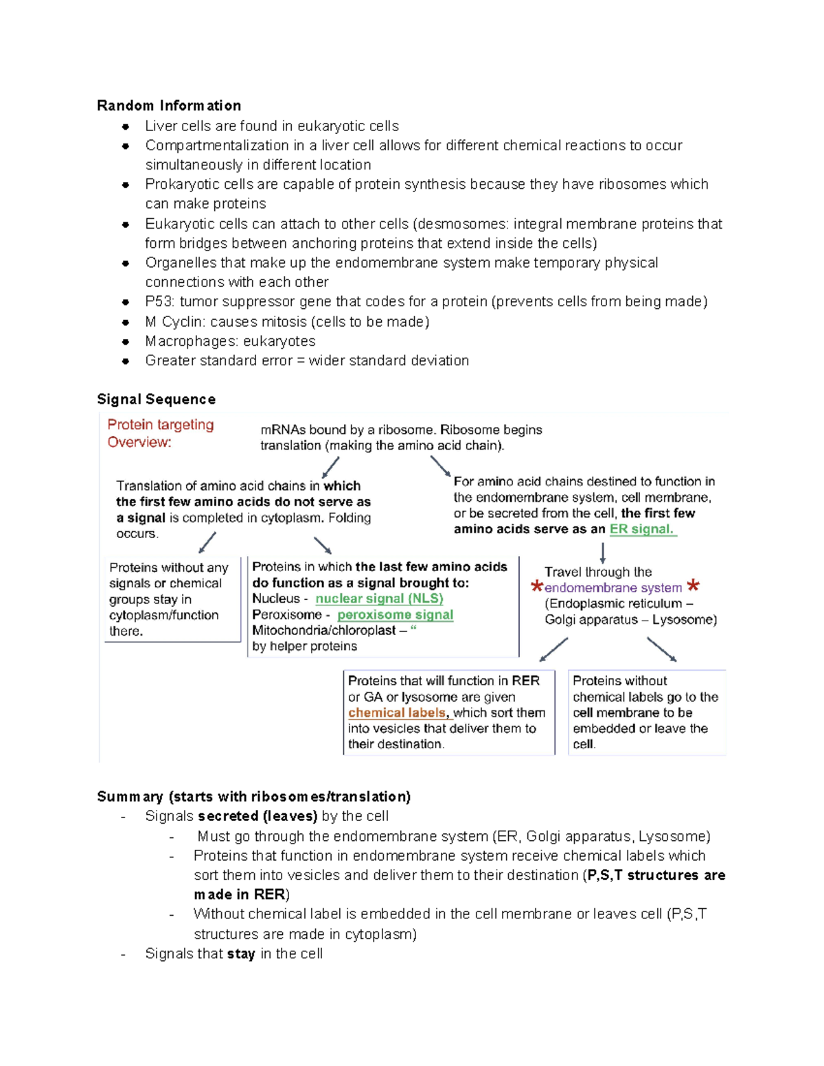 Cell Structure and Function Summary - Studocu