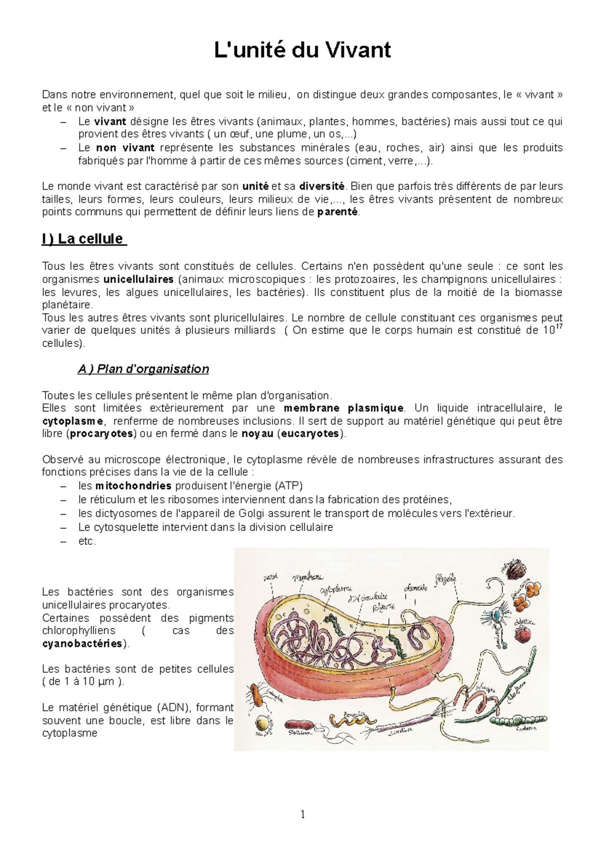 Le Vivant SVT (cours de sciences) - L'unité du Vivant Dans notre ...