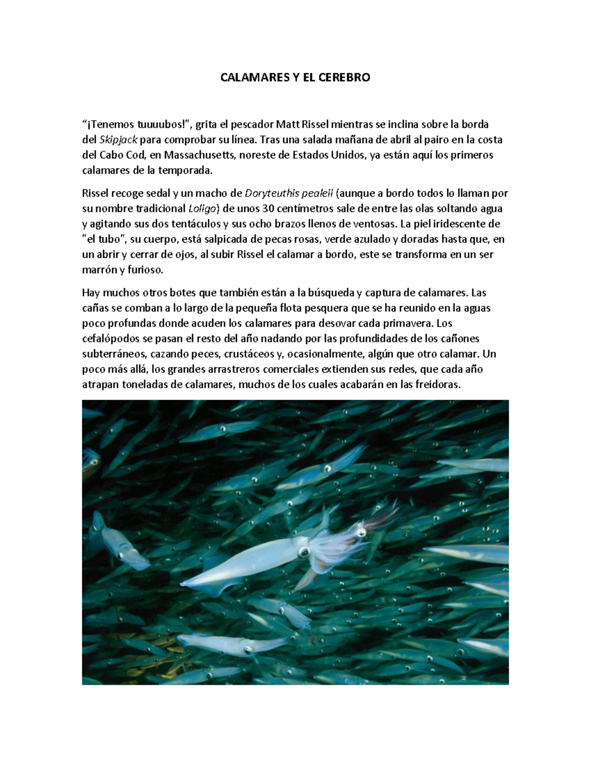 Calamares Y EL Cerebro - CALAMARES Y EL CEREBRO “¡Tenemos tuuuubos ...