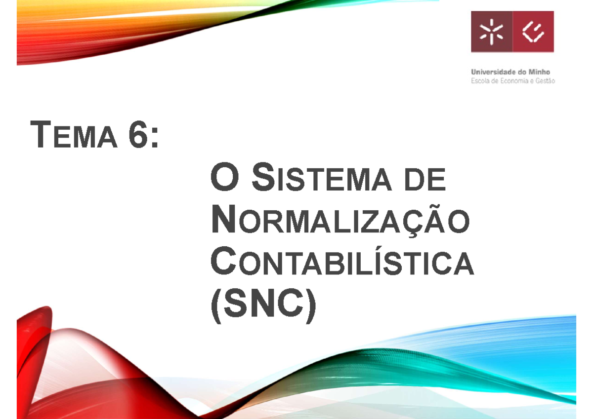 Tema 6 - Sistema de Normalizacao Contabilistica - SNC - O SISTEMA DE ...