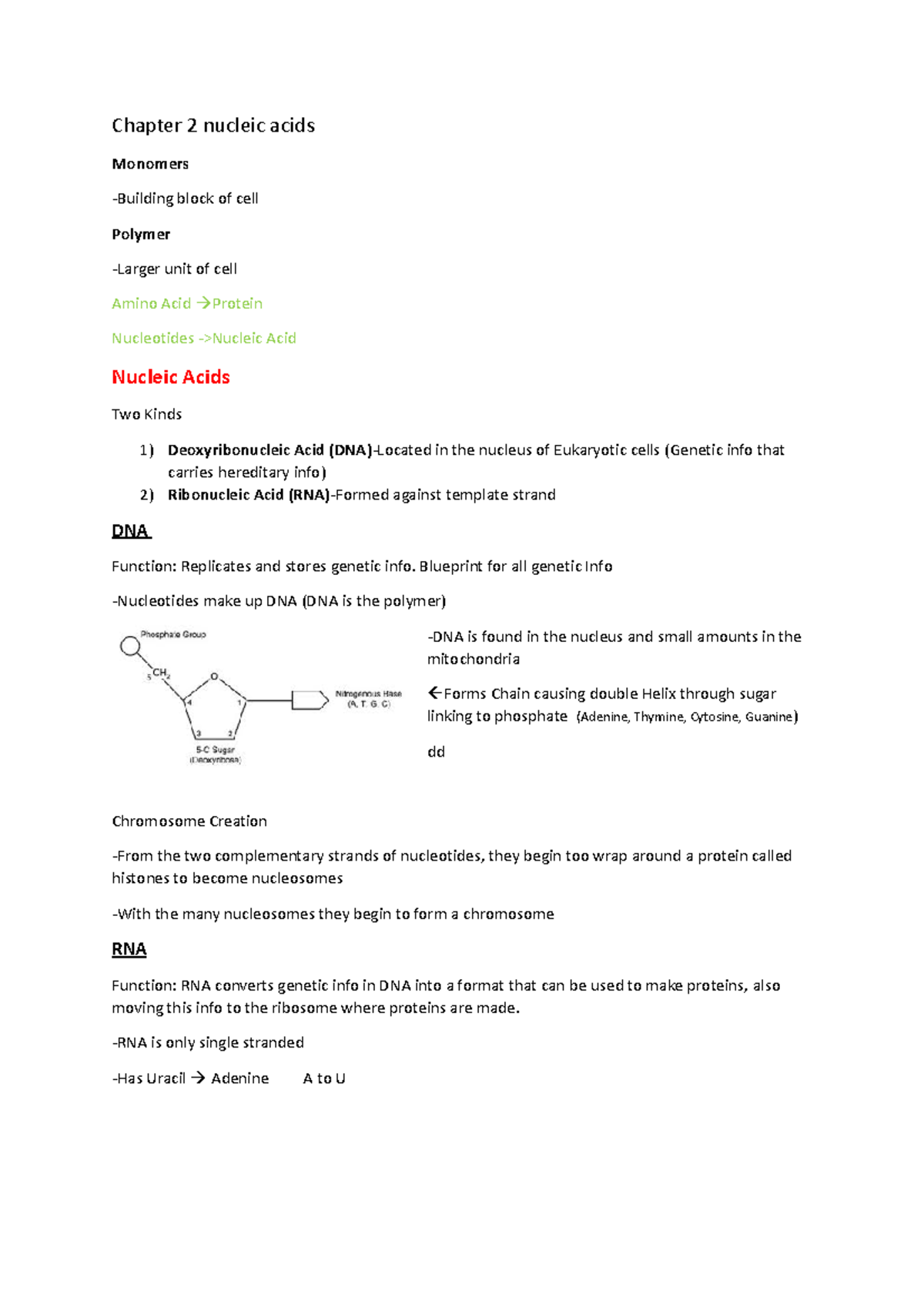Chapter 2+ - very basic bio notes - BIOL2333 - RMIT University - Studocu