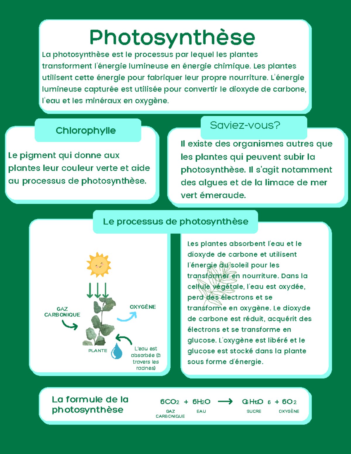 La photosynthèse - Les plantes absorbent l'eau et le dioxyde de carbone ...