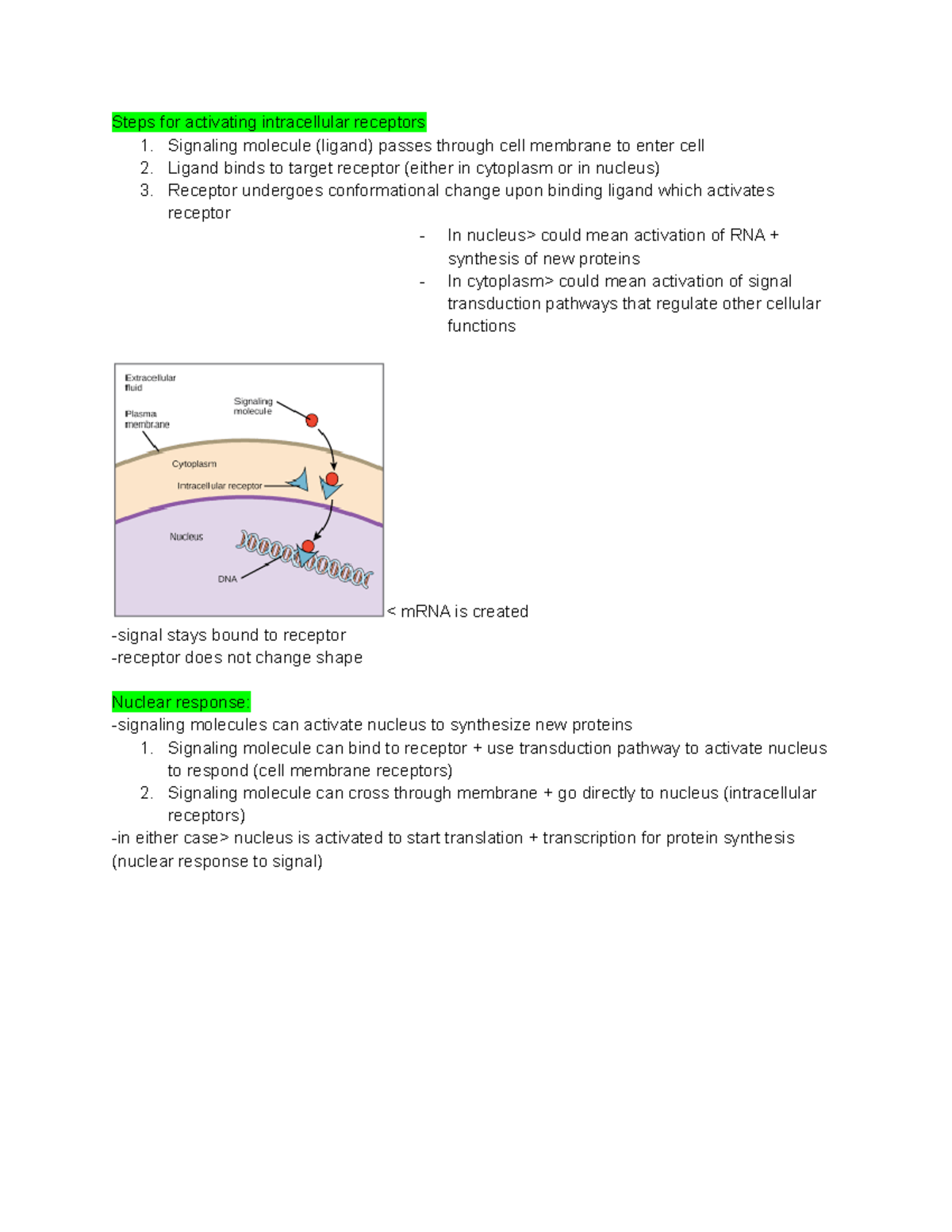 Intracellular receptors - Signaling molecule (ligand) passes through ...
