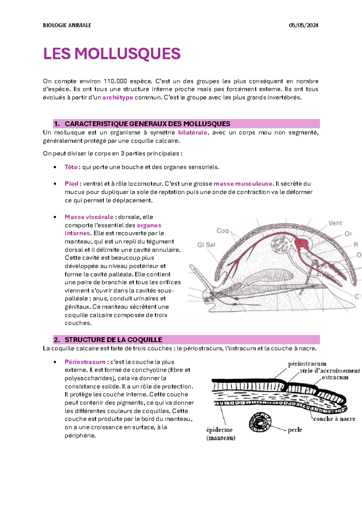 Diversité des mollusques - LES MOLLUSQUES On compte environ 110 espèce. C’est un des groupes les ...