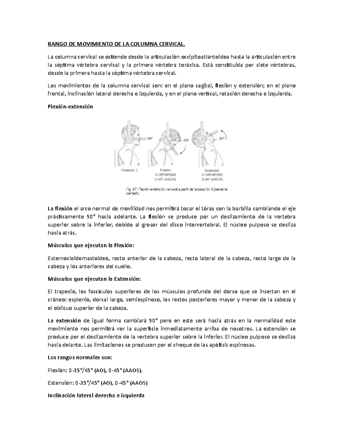 Rango DE Movimiento DE LA Columna Cervical - RANGO DE MOVIMIENTO DE LA ...